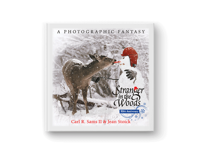 Lenticular Magazines, Catalogs, Brochures and Book Covers | World3D